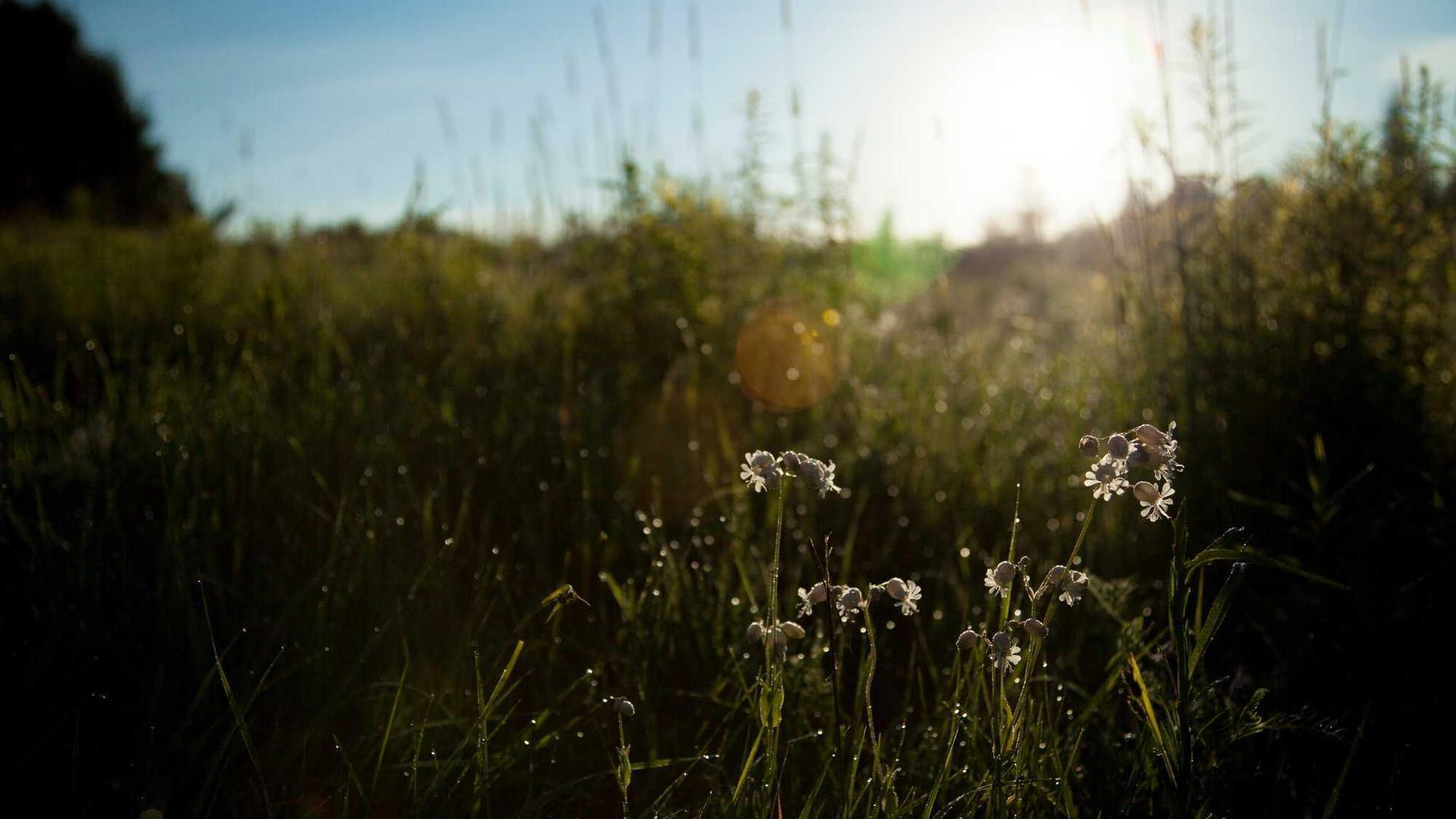 How to Meet Halal/Kosher Certification Requirements for Air Classifier ...